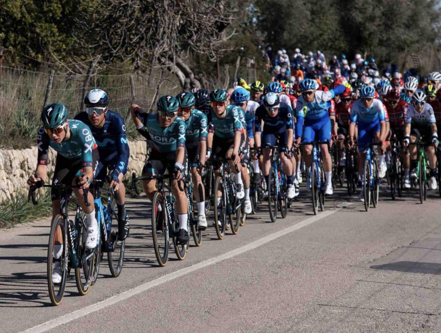 Trofeo Calvia 2023 : Les engagés