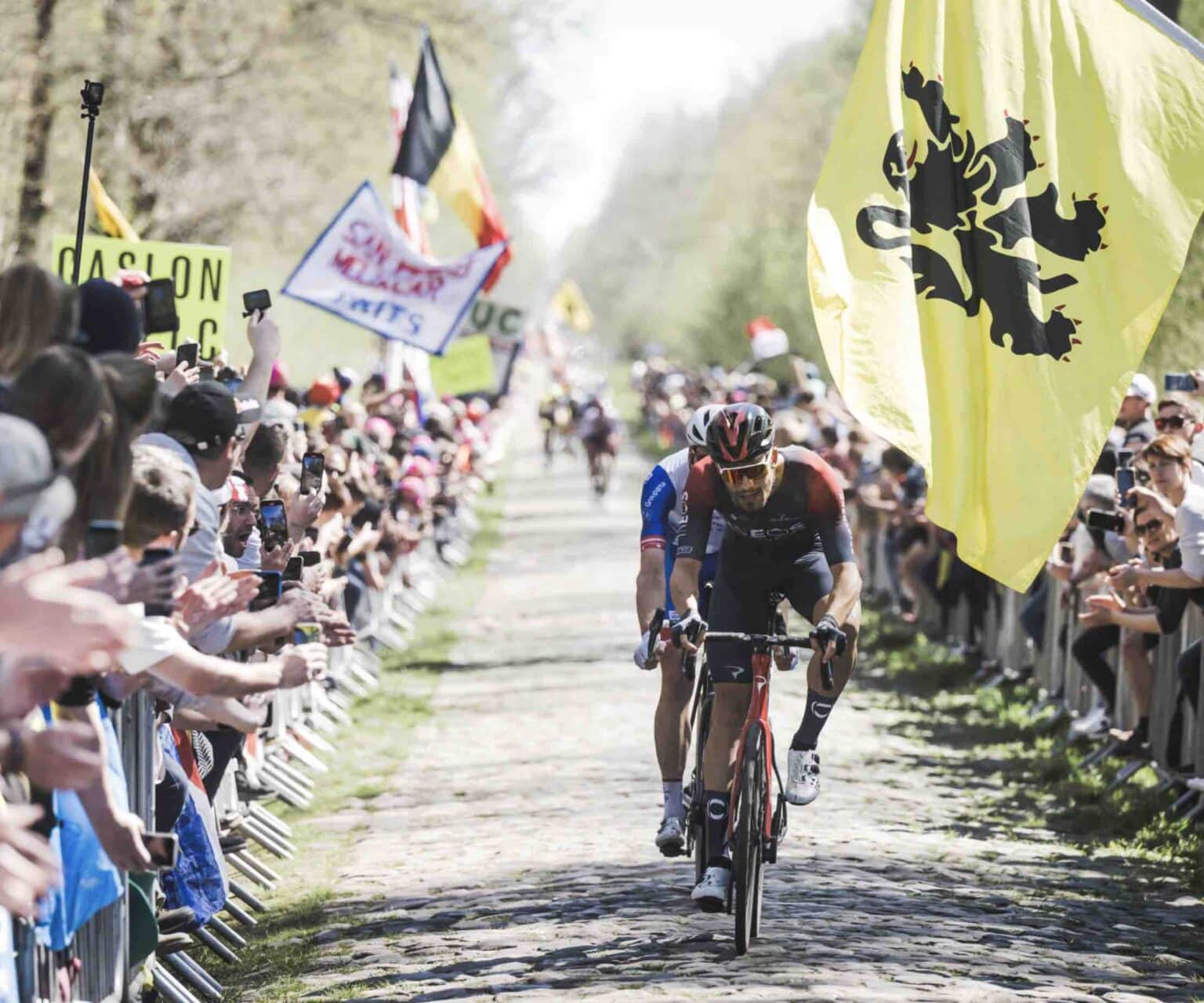 Paris-Roubaix 2023 : Parcours, engagés, classement