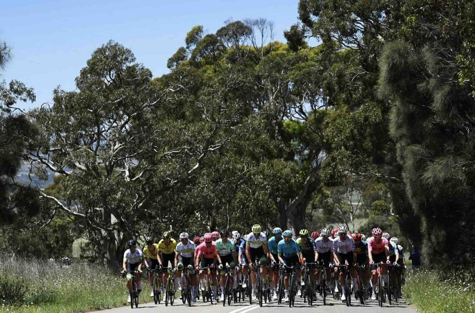 Tour Down Under, étape 4 : résumé vidéo