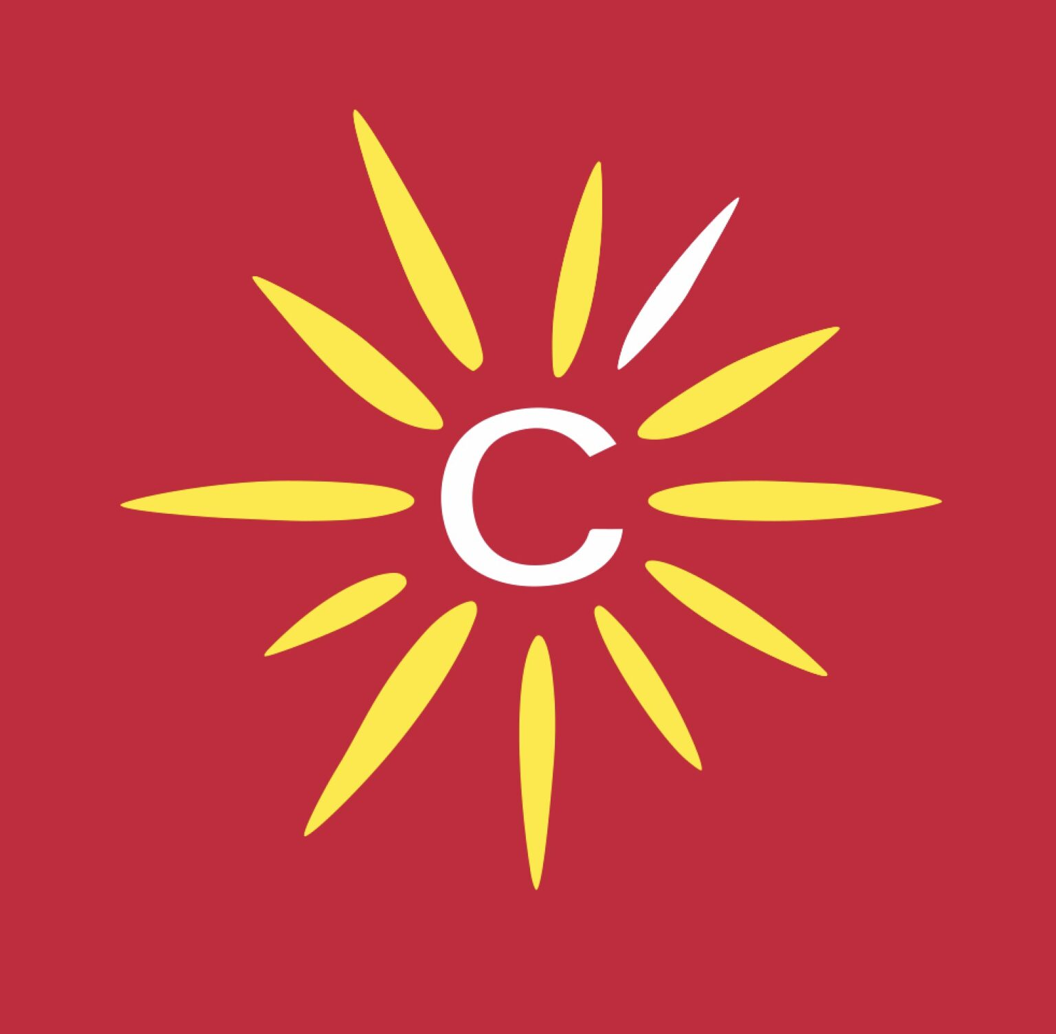 Cofidis 2025 - Equipe cycliste