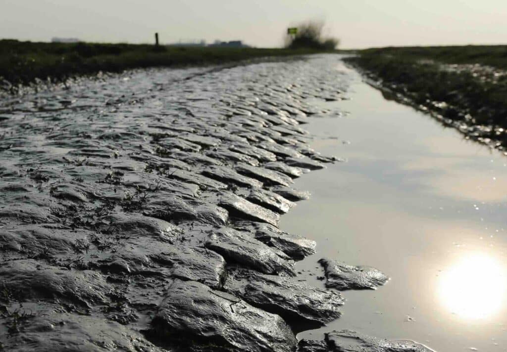 Paris - Roubaix 2025 - Course cycliste UCI WorldTour