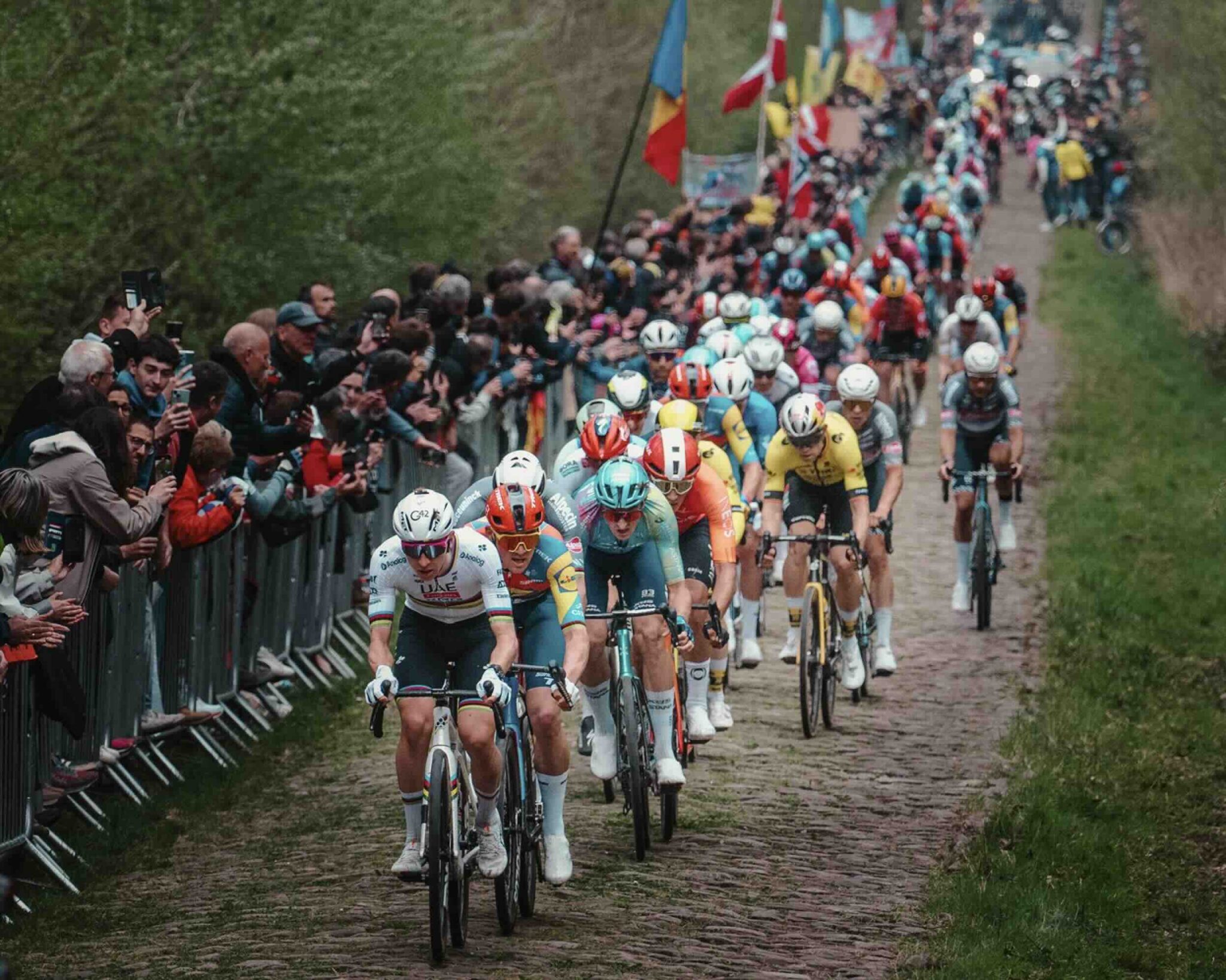 Paris-Roubaix 2026 : direct TV, horaires, chaînes (France 3, Eurosport)