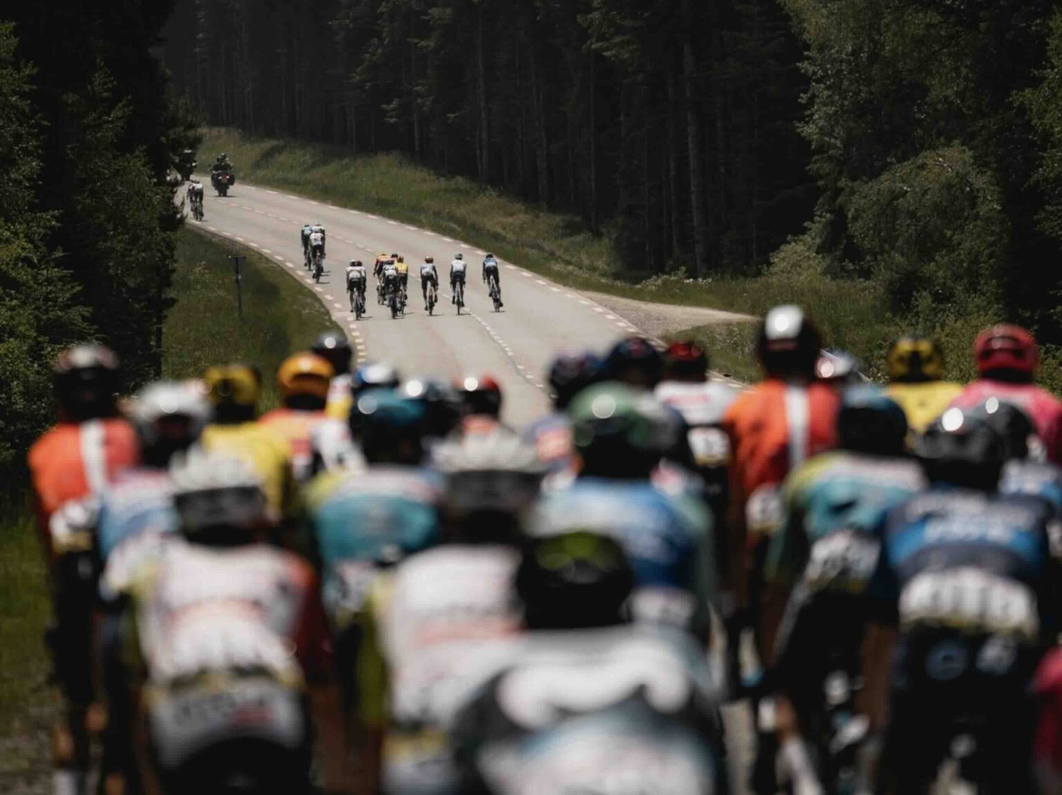 Tour Auvergne Rhône-Alpes 2026 : les favoris et la liste complète des ...